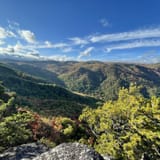 Big Lost Cove Cliffs Trail (271), North Carolina - 598 Reviews, Map ...