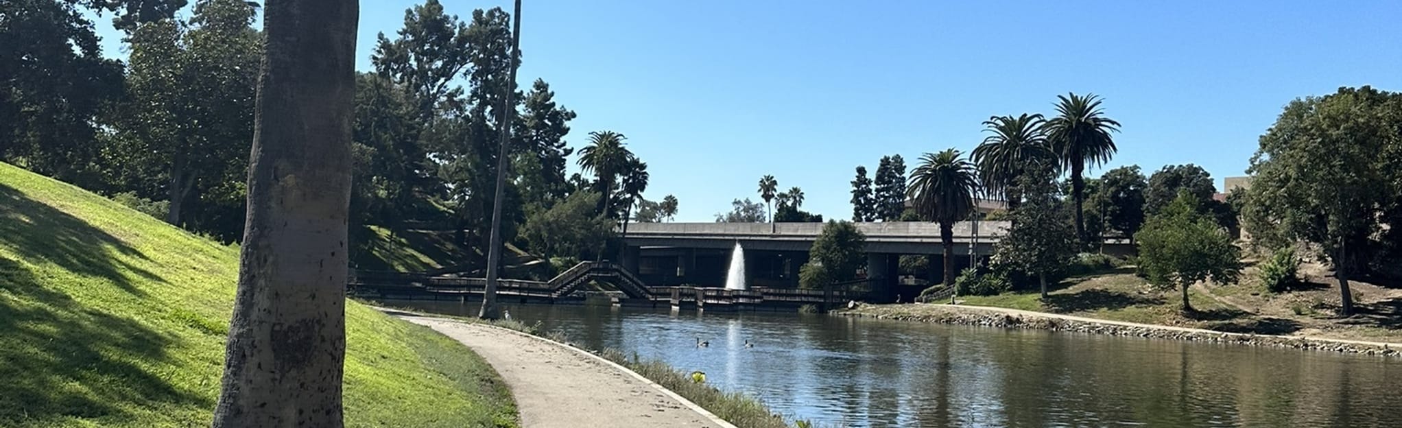 Hollenbeck Lake Loop, California - 64 Reviews, Map | AllTrails