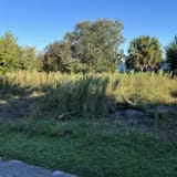 Lake Baldwin Loop, Florida - 1,057 Reviews, Map | AllTrails