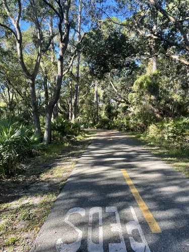 Best Hikes and Trails in Big Talbot Island State Park | AllTrails
