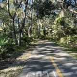 Big Talbot Island Timucuan Trail, Florida - 202 Reviews, Map | AllTrails