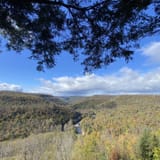 Canyon Vista Trail, Pennsylvania - 820 Reviews, Map | AllTrails