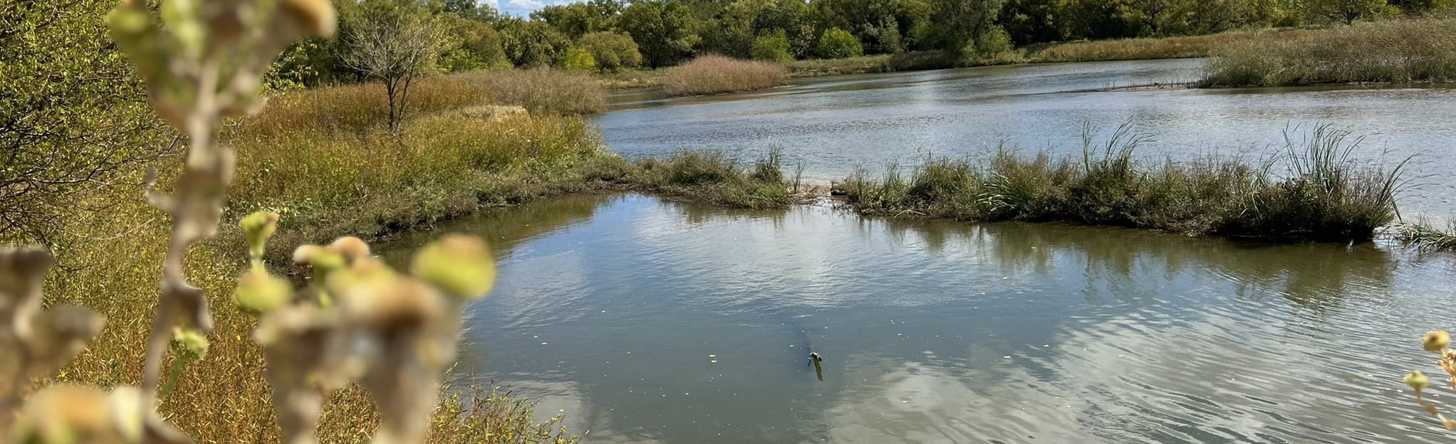 Redbud Trail, Texas - 72 Reviews, Map | AllTrails