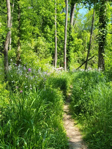 Powder Mill Park: de beste routes om te wandelen | AllTrails