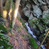 Stevens Glen Trail, Massachusetts - 402 Reviews, Map | AllTrails