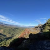 Big Lost Cove Cliffs Trail (271), North Carolina - 560 Reviews, Map ...