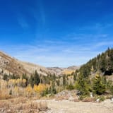 Silver Fork Trail, Utah - 114 Reviews, Map | AllTrails