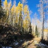 Silver Fork Trail, Utah - 114 Reviews, Map | AllTrails