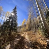 Silver Fork Trail, Utah - 114 Reviews, Map | AllTrails