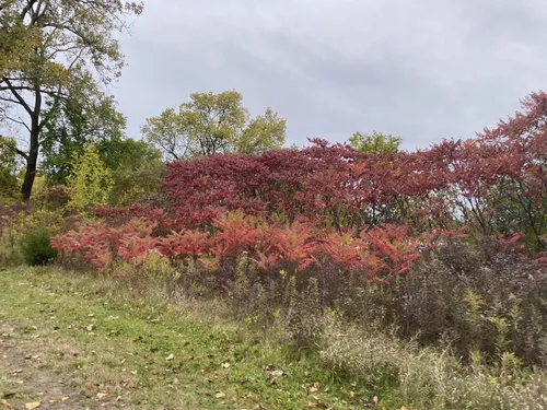 Best Hikes and Trails in Freedom Hill County Park | AllTrails