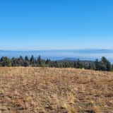 Mount Scott Trail, Oregon - 1,305 Reviews, Map | AllTrails