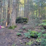 Stevens Glen Trail, Massachusetts - 329 Reviews, Map | AllTrails
