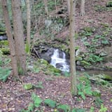 Stevens Glen Trail, Massachusetts - 329 Reviews, Map | AllTrails
