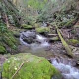 Stevens Glen Trail, Massachusetts - 402 Reviews, Map | AllTrails