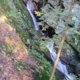 Stevens Glen Trail, Massachusetts - 402 Reviews, Map | AllTrails