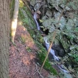 Stevens Glen Trail, Massachusetts - 402 Reviews, Map | AllTrails