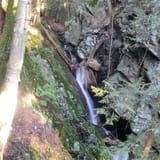 Stevens Glen Trail, Massachusetts - 402 Reviews, Map | AllTrails