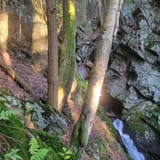 Stevens Glen Trail, Massachusetts - 402 Reviews, Map | AllTrails