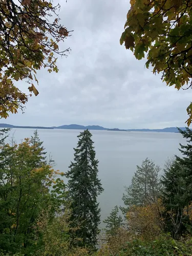 10 Best Moderate Trails in Larrabee State Park | AllTrails