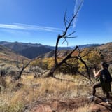 Storm King Mountain Memorial Trail, Colorado - 630 Reviews, Map | AllTrails