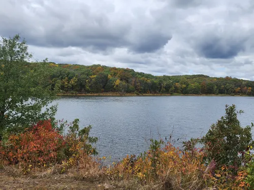 Best Hikes and Trails in Nine Eagles State Park | AllTrails