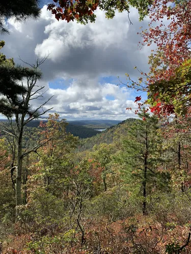 10 Best Hikes and Trails in Michaux State Forest | AllTrails