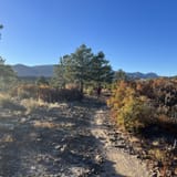 Ute Valley Park Loop Trail, Colorado - 2,561 Reviews, Map | AllTrails