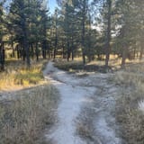 Ute Valley Park Loop Trail, Colorado - 2,561 Reviews, Map | AllTrails