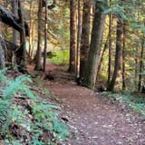 Iron Goat Trail, Washington - 1,334 Reviews, Map | AllTrails