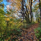 Iron Goat Trail, Washington - 1,334 Reviews, Map | AllTrails