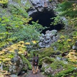 Iron Goat Trail, Washington - 1,334 Reviews, Map | AllTrails