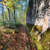 Iron Goat Trail, Washington - 1,334 Reviews, Map | AllTrails