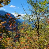 Iron Goat Trail, Washington - 1,334 Reviews, Map | AllTrails