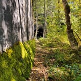 Iron Goat Trail, Washington - 1,334 Reviews, Map | AllTrails