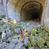 Iron Goat Trail, Washington - 1,334 Reviews, Map | AllTrails