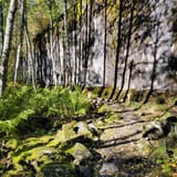 Iron Goat Trail, Washington - 1,334 Reviews, Map | AllTrails