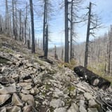 Angels Rest to Devil's Rest Loop Trail, Oregon - 1,219 Reviews, Map ...