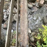 Angels Rest to Devil's Rest Loop Trail, Oregon - 1,219 Reviews, Map ...