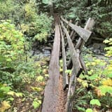 Angels Rest to Devil's Rest Loop Trail, Oregon - 1,219 Reviews, Map ...