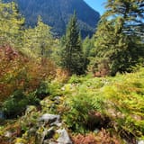 Iron Goat Trail, Washington - 1,334 Reviews, Map | AllTrails