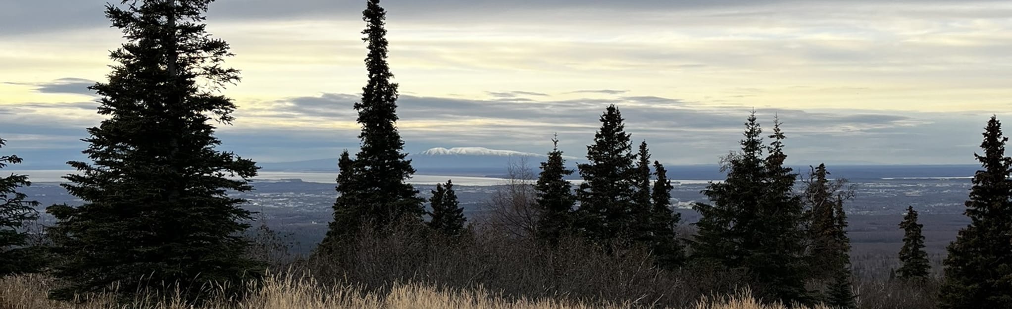 Denali View South Rim Trail Loop, Alaska - 70 Reviews, Map | AllTrails