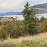 Mosier Plateau Trail, Oregon - 1,272 Reviews, Map | AllTrails
