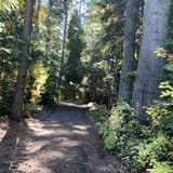 Mosier Plateau Trail, Oregon - 1,314 Reviews, Map | AllTrails