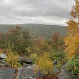 Wolf Rocks Trail, Pennsylvania - 1,220 Reviews, Map | AllTrails