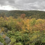 Wolf Rocks Trail, Pennsylvania - 1,220 Reviews, Map | AllTrails