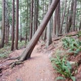 Fragrance Lake Trail, Washington - 2,716 Reviews, Map | AllTrails