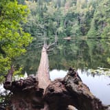 Fragrance Lake Trail, Washington - 2,716 Reviews, Map | AllTrails