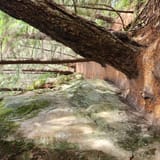 Fragrance Lake Trail, Washington - 2,716 Reviews, Map | AllTrails