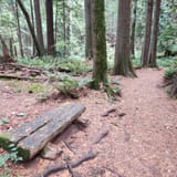 Fragrance Lake Trail, Washington - 2,716 Reviews, Map | AllTrails