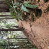 Fragrance Lake Trail, Washington - 2,716 Reviews, Map | AllTrails
